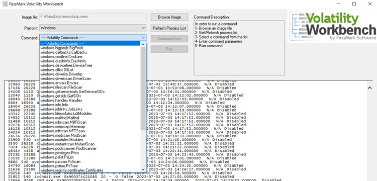 Volatility Workbench Empowering Memory Forensics Levelblue